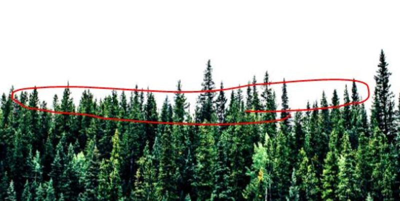 What does 'tree line' exactly mean? As in solider A: (shoots somewhere ...