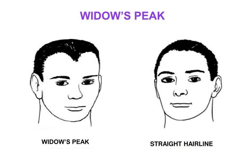 What is the meaning of "his thick hair with the slight widow’s peak ...