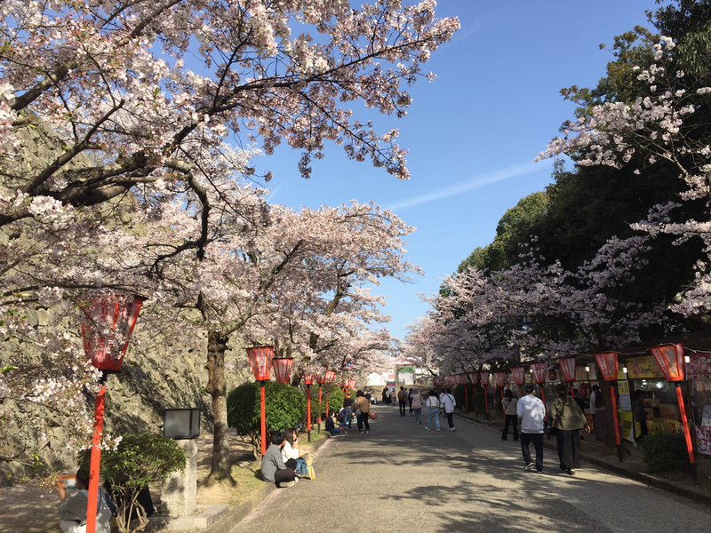 What kind of disasters are there in your country? | HiNative