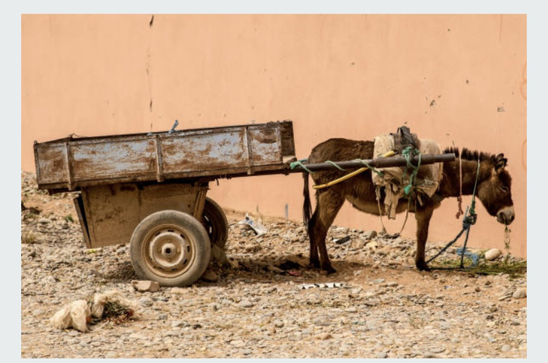 What is the meaning of "Eu trabalhei feito um burro velho"? - Question ...