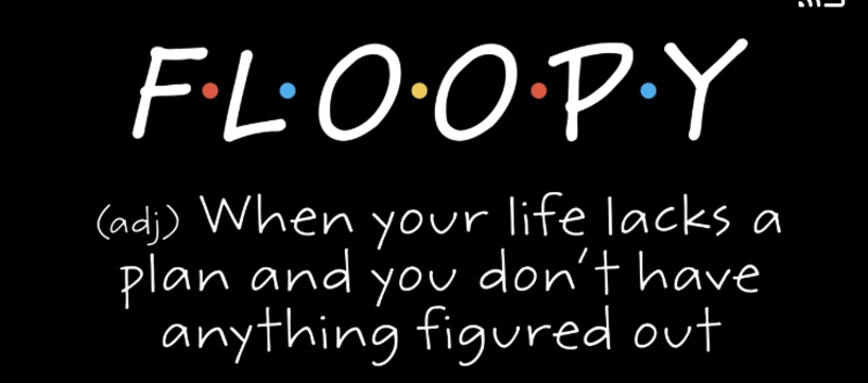 What does "Flupie" mean in this excerpt from Friends ? - Everything was ...