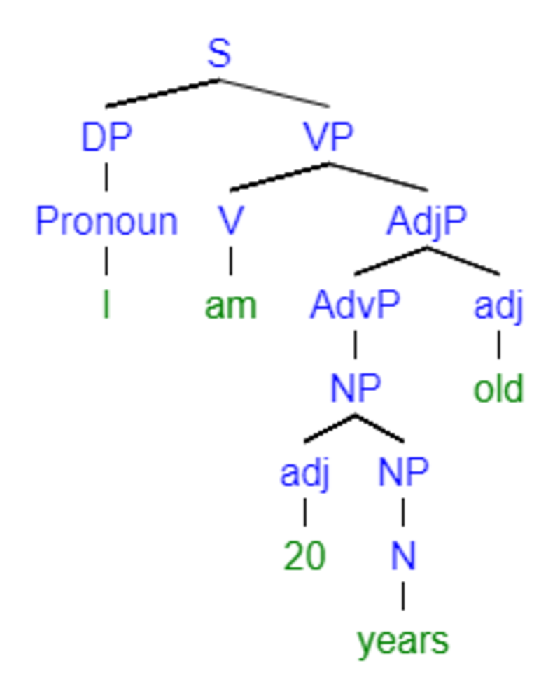 Hoe do you draw a syntax tree to I'm 20 years old | HiNative