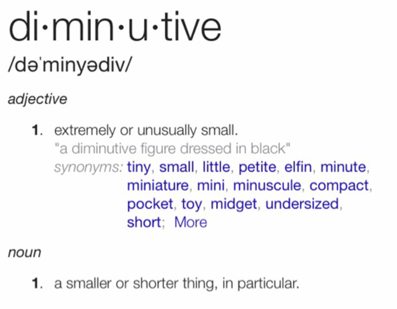 【diminutive】とはどういう意味ですか？ - 英語 (アメリカ)に関する質問 | HiNative