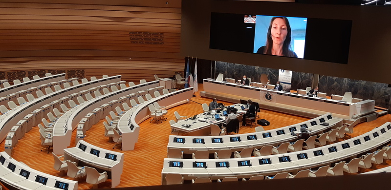 🆚What is the difference between "conference" and "meeting" and ...