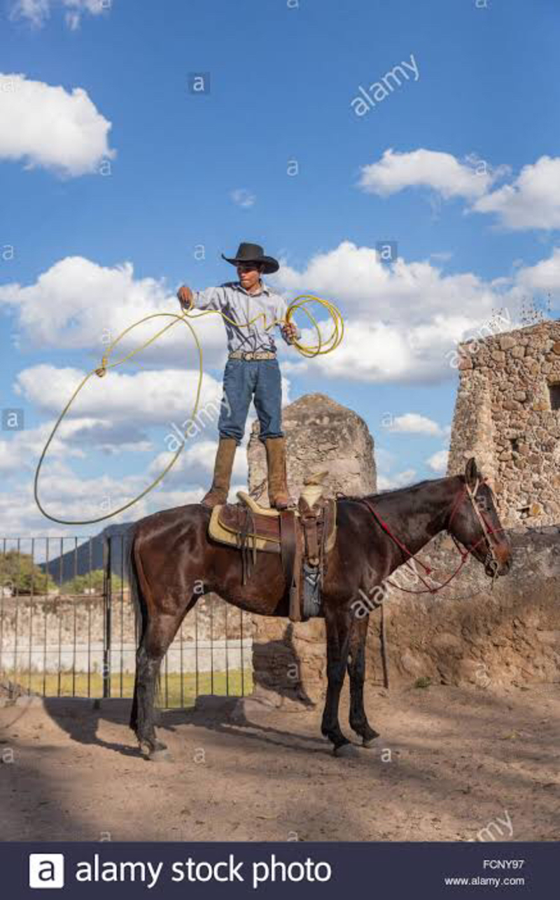 O que significa ""reata”"? - Pergunta sobre a Espanhol (México) | HiNative