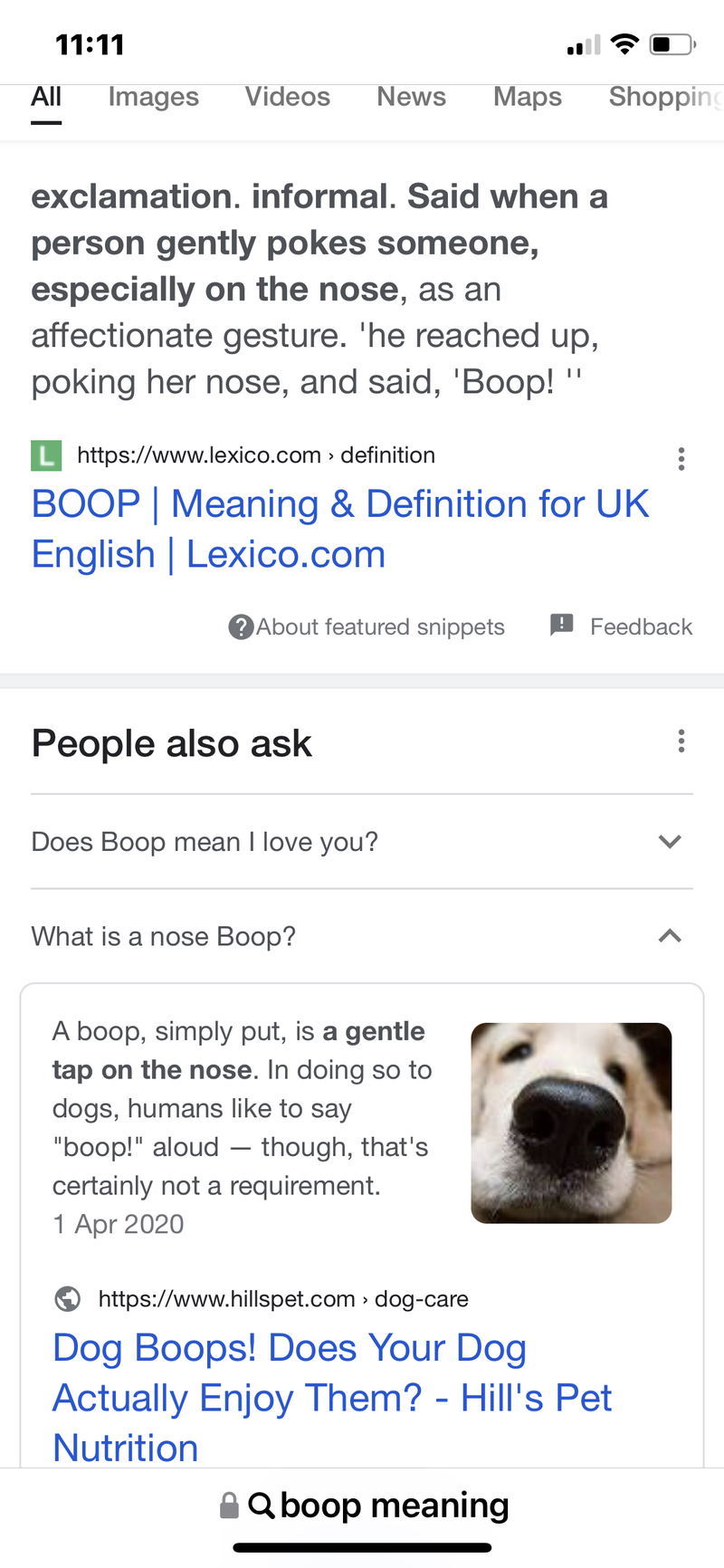 "boop"是什么意思？ -关于英语 (美国)（英文） | HiNative