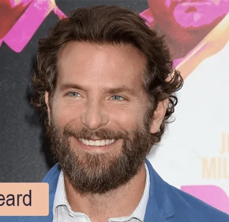 "scruffy" 和 "dirty" 和有什么不一样？ | HiNative