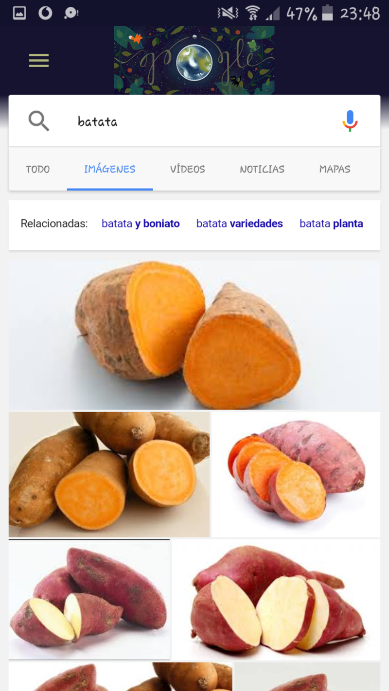 How do you say "Batata" in Spanish (Spain)? | HiNative