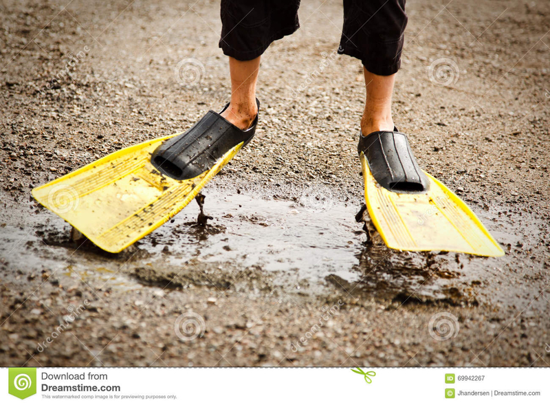 multitudes of flipper-footed tourists What is the meaning ' flipper ...