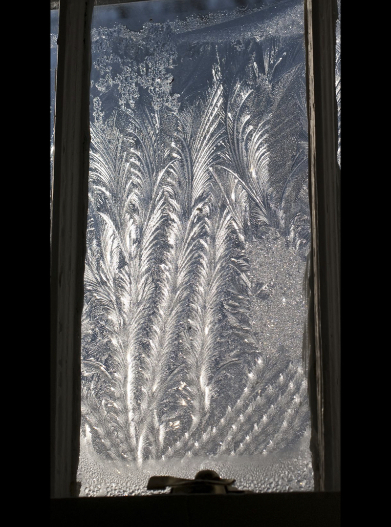 🆚What is the difference between "the windows are covered with HOAR ...