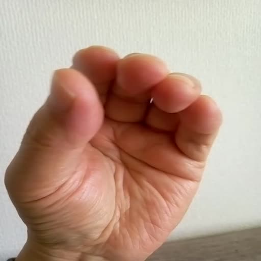 Quand les Français font le geste que vous voyez ci-dessous, qu'est-ce ...