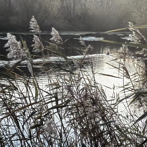 mjkz1780 - 简介 | HiNative